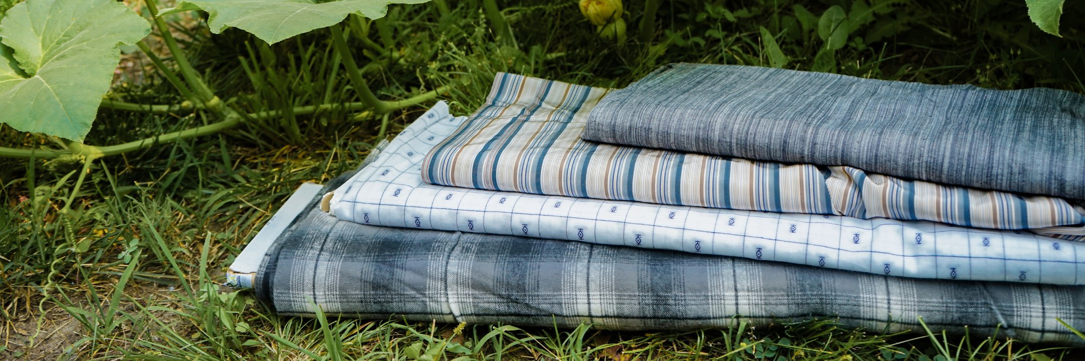 The August Collection